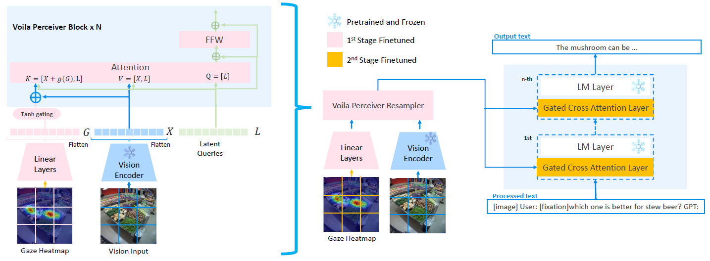Zeyu Wang - Homepage